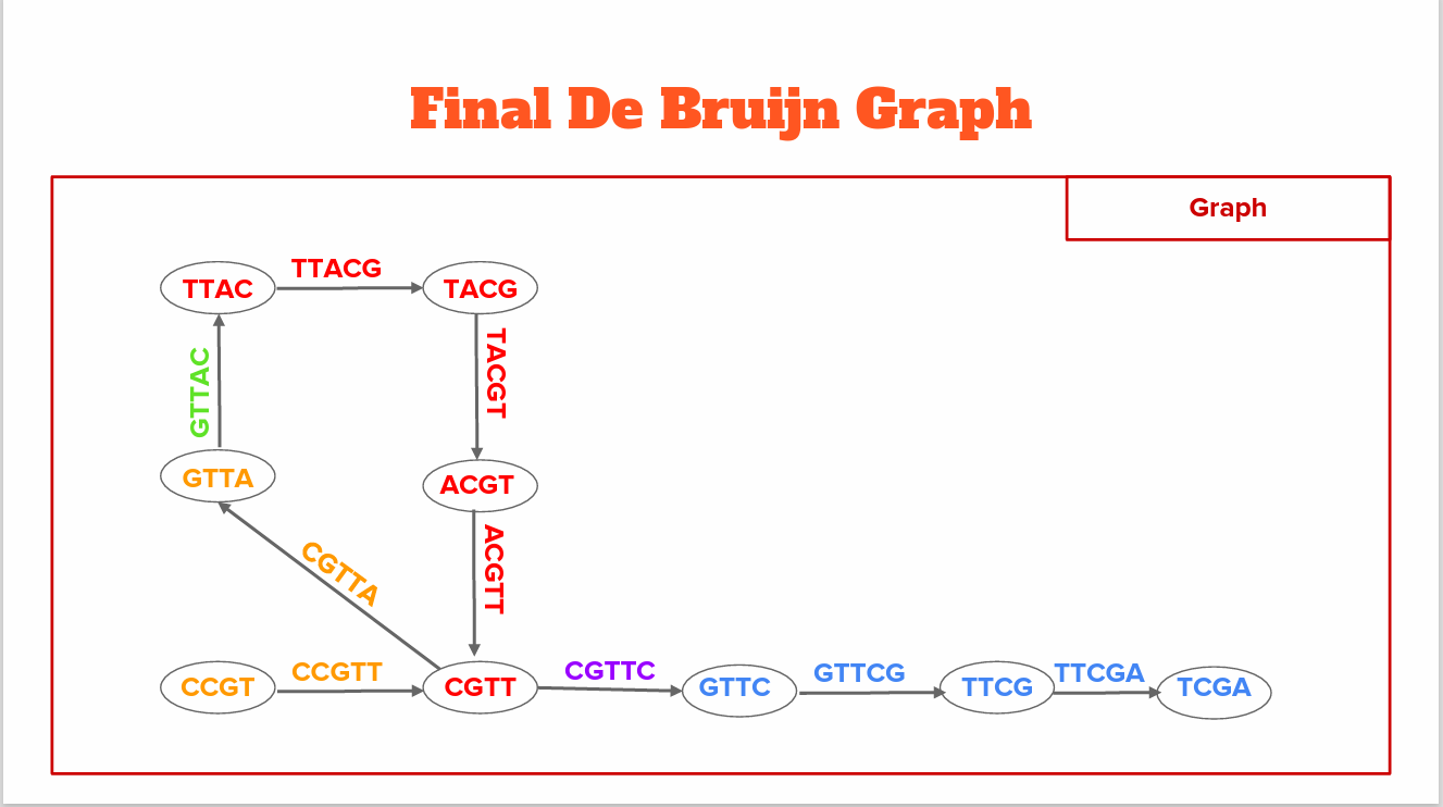 GitHub - Sarah-Hesham-2022/De-Bruijn-Graph-for-Genome-Assembly: Data Analysis for Genomics, De ...