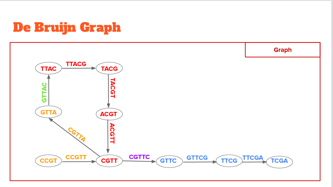 GitHub - Sarah-Hesham-2022/Euler-Path-for-Genome-Assembly: Data ...