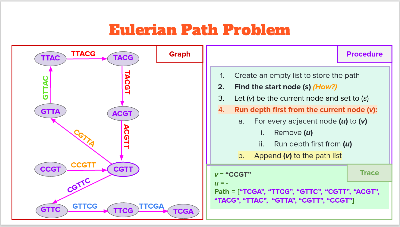 GitHub - Sarah-Hesham-2022/Euler-Path-for-Genome-Assembly: Data Analysis for Genomics, Euler ...
