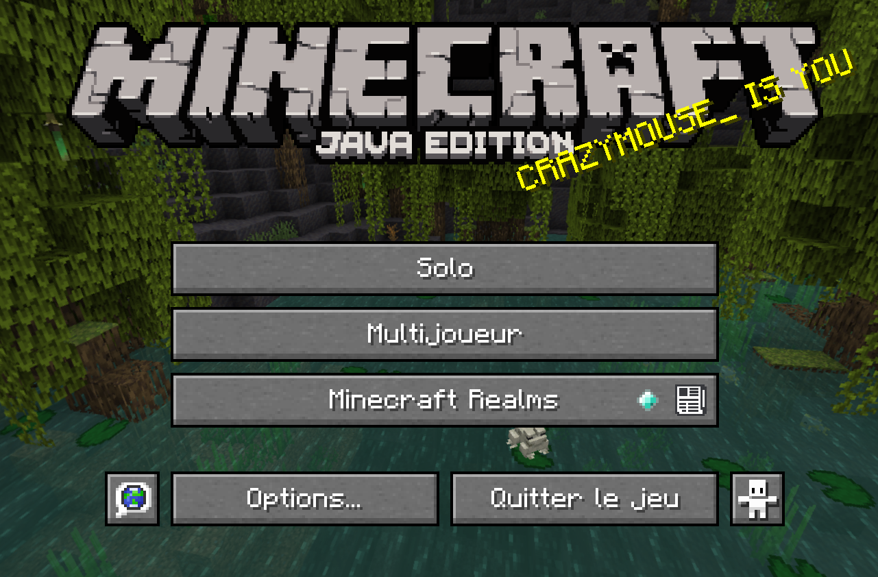 [bug] Problem With Nameprotect · Issue 2790 · Meteordevelopment Meteor Client · Github