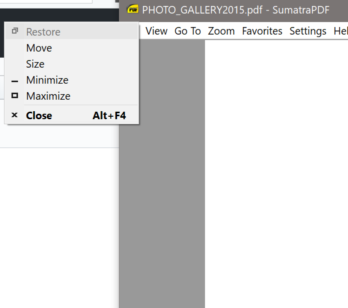 Tabs menu interface when "Use tabs" is disabled. · Issue #978 · sumatrapdfreader/sumatrapdf · GitHub