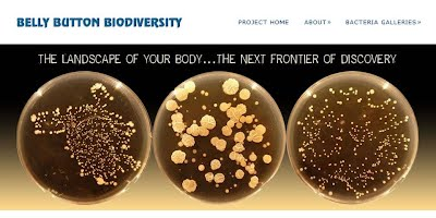 GitHub - gtp1ok/belly-button-challenge