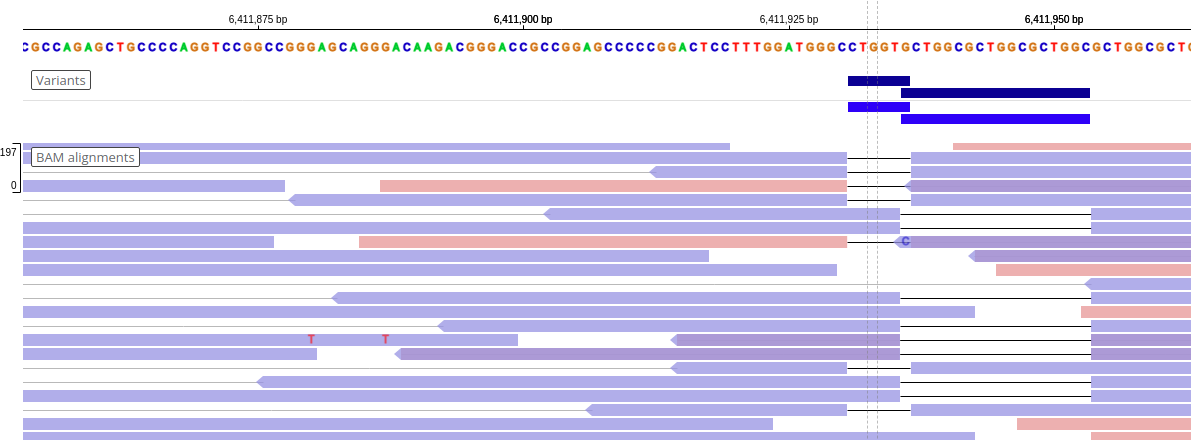 Error phasing 2 INDEL · Issue #369 · whatshap/whatshap · GitHub