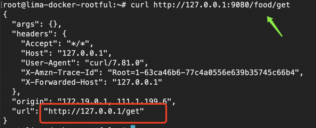 help request: Setting up routing path · Issue #8709 · apache/apisix · GitHub