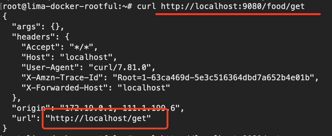 Help Request Setting Up Routing Path · Issue 8709 · Apacheapisix · Github 