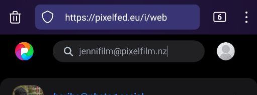 Unable to search and display profiles · Issue #3617 · pixelfed/pixelfed · GitHub
