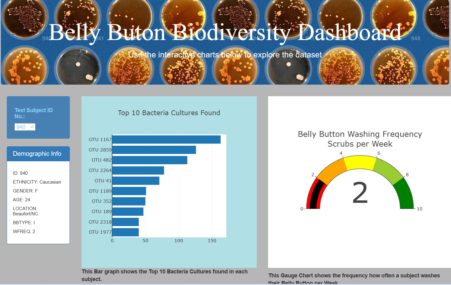 GitHub - gasconma1960/Belly-Button-Biodiversity: Javascript, Plotly