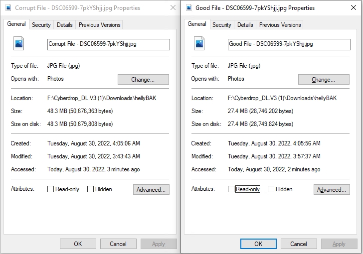 [BUG] Cyberdrop Continue Downloading · Issue #201 · Jules-WinnfieldX/CyberDropDownloader · GitHub