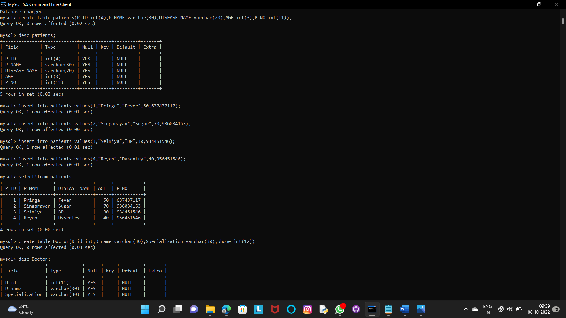 GitHub - Selmeya/DBMS