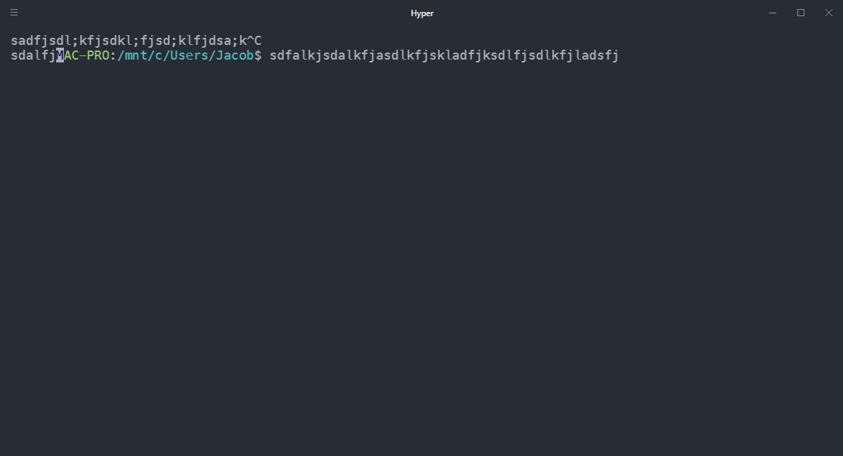 Displays Issues Occur When Setting The Shell To Bash By Default On Windows 