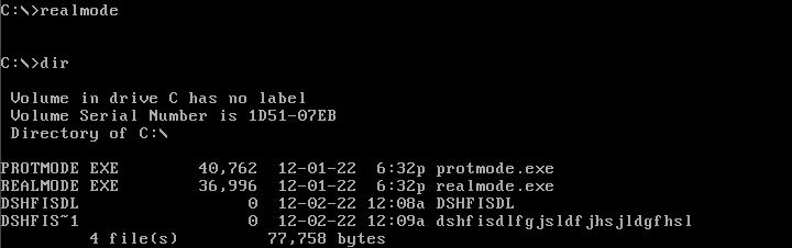 Lfn Support In 32 Bit Dos Protected Mode Dos4g Environment Broken · Issue 1009 · Open