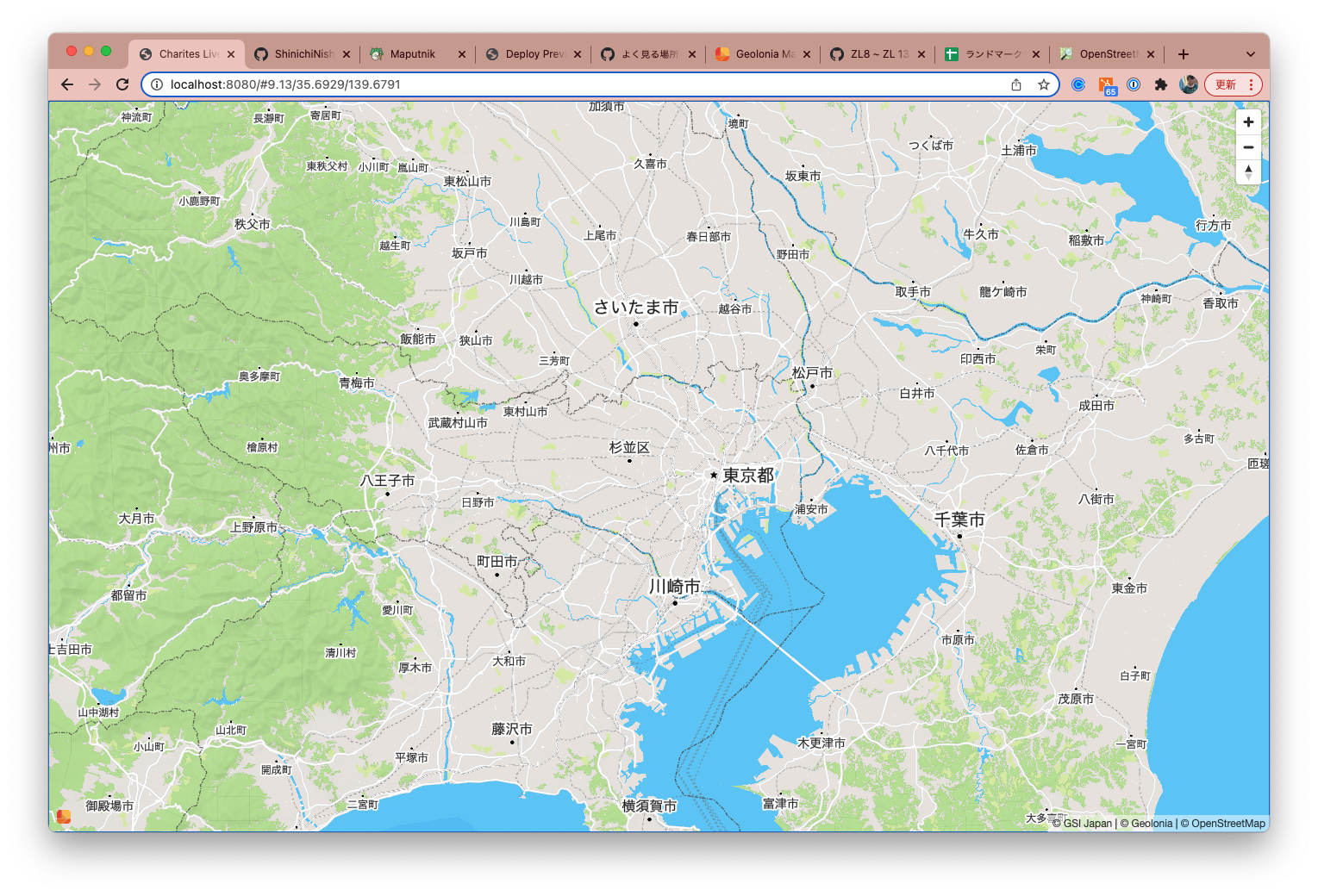 ZL8 ~ ZL 13 の地名の表示を改善する · Issue #142 · geoloniamaps/basic · GitHub