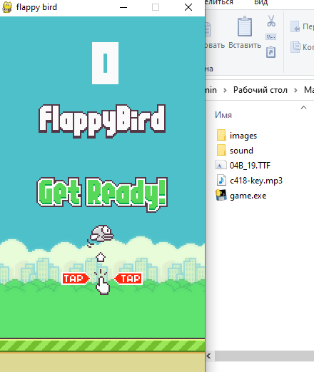 GitHub - genuinls/flappybird: short-coded flappy bird game. controls : space = jump