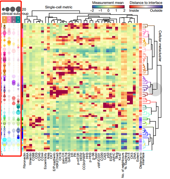 Issues with function 'HeatmapAnnotation' in ComplexHeatmap · Issue #978 · jokergoo ...