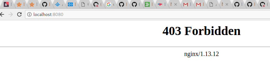 http://localhost:8080/ delivers a 403 Forbidden · Issue #134 · Minds/minds · GitHub