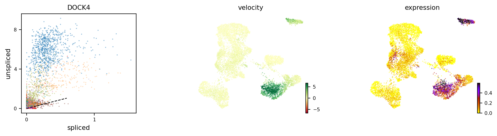 scRNA-analysis/lesson9.细胞轨迹分析.md at main · ChenShun-git/scRNA-analysis ...