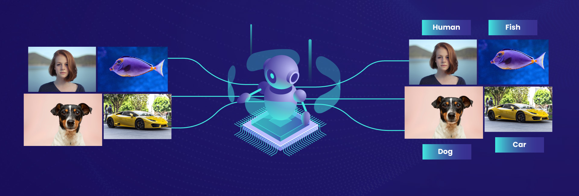 GitHub - justinpham2/Image-Classification-Comparison