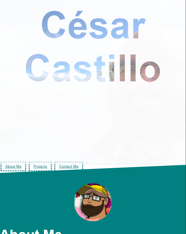 GitHub - ceca24/Professional_Portfolio