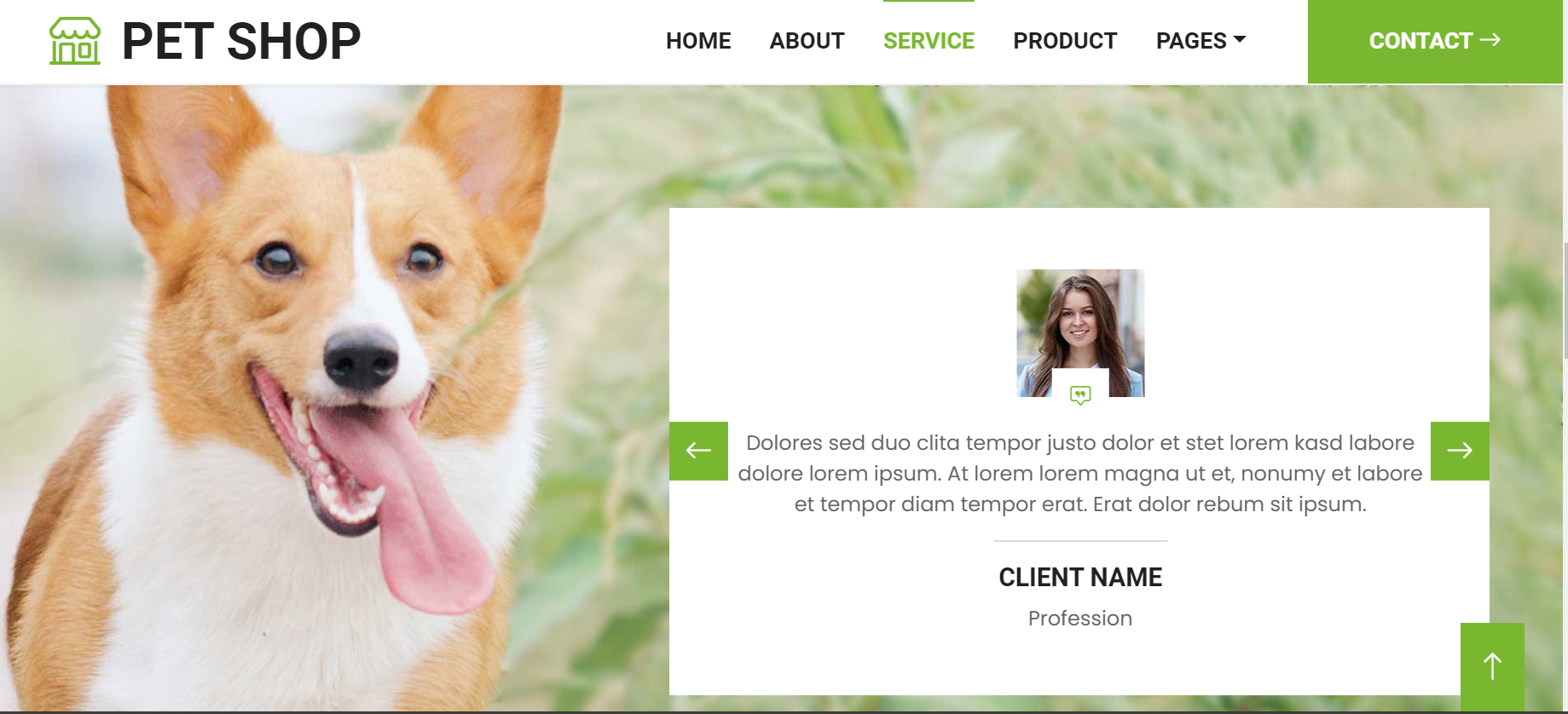 GitHub - Fullstack98/Pet-Shop.github.io