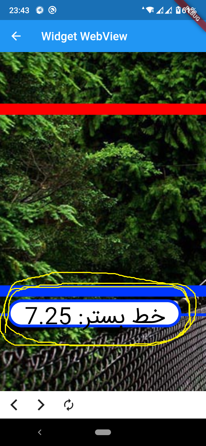Smallest Font size Problem Issue 822 Fluttercommunity flutter