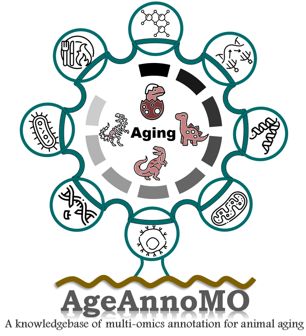 GitHub - vikkihuangkexin/AgeAnnoMO: A knowledgebase of multi-omics ...