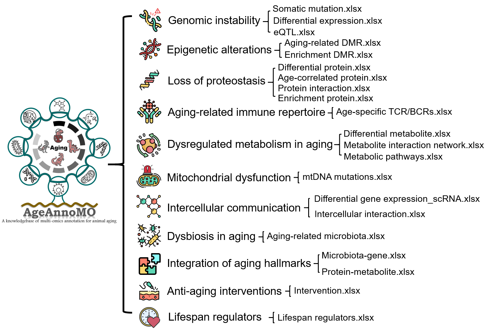 GitHub - vikkihuangkexin/AgeAnnoMO: A knowledgebase of multi-omics ...