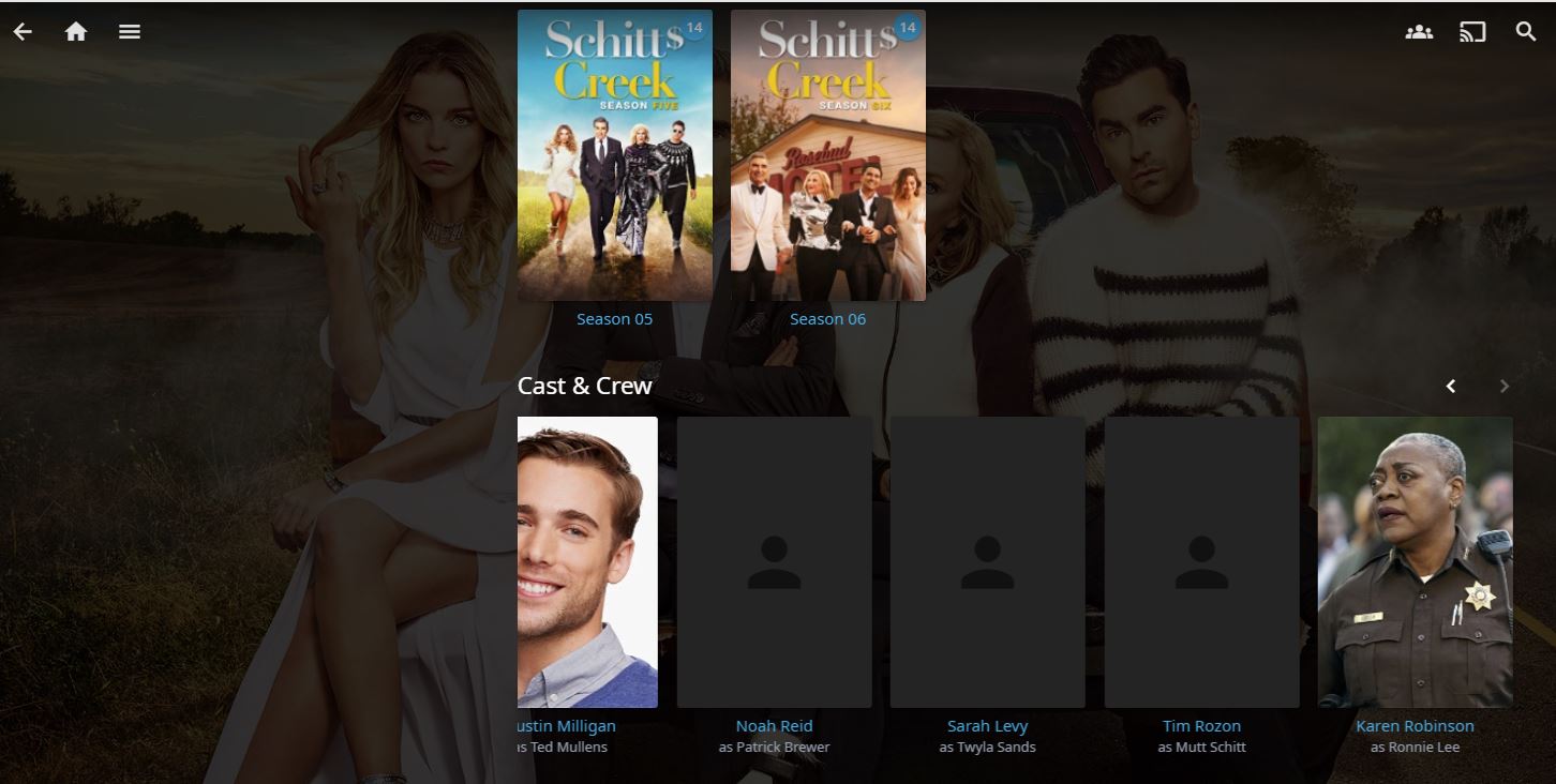[Issue]: Actor images are missing when using only local metadata or ...