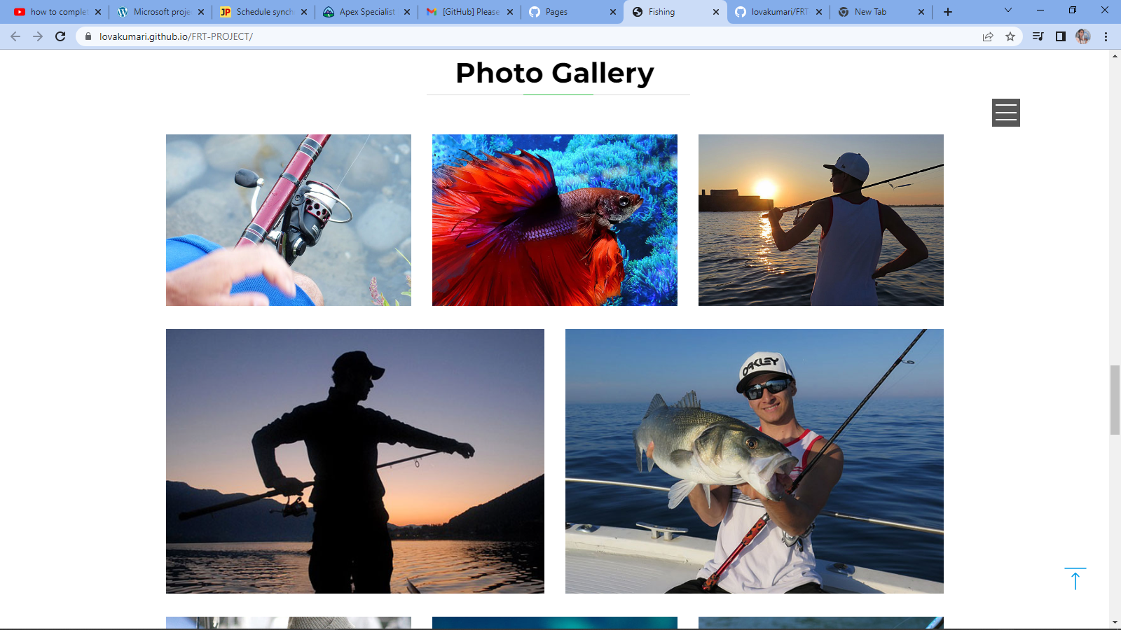 GitHub - lovakumari/FRT-PROJECT