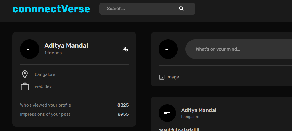 GitHub - adityamandal-Developer/connect-verse-full-stack-web-project