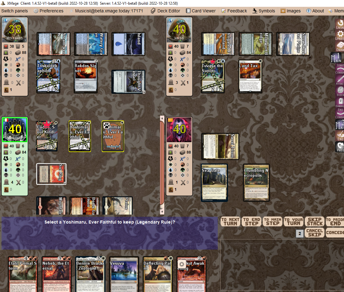 Cadric Soul Kindlers Tokens Are Considered Legendary · Issue 9708