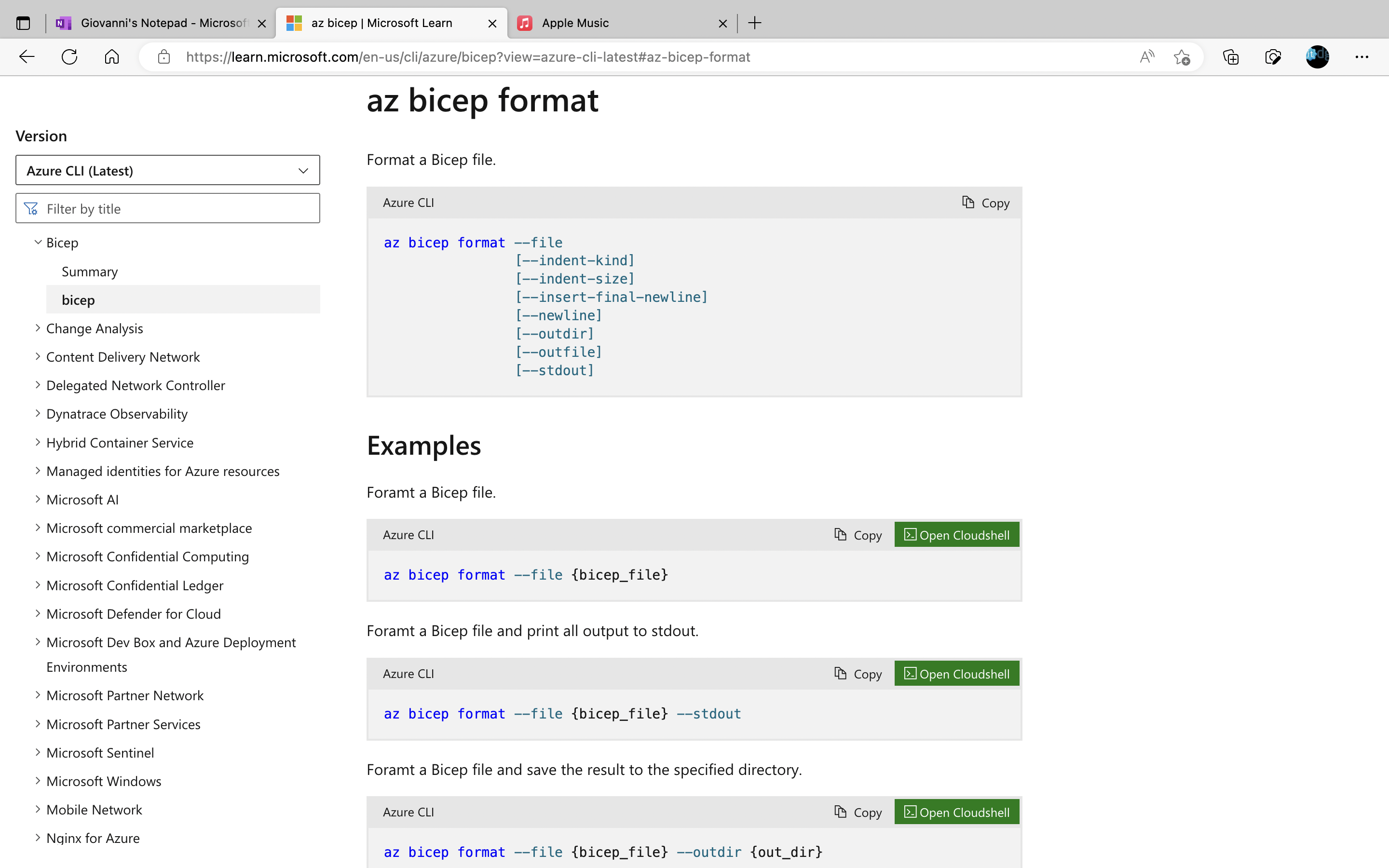 The word format is misspelled multiple times in the az bicep format examples section · Issue ...