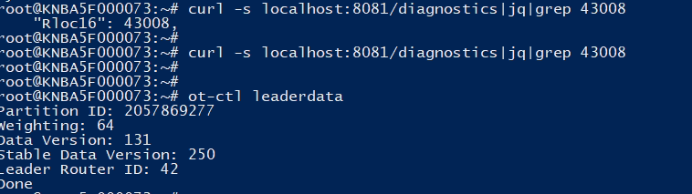 missing leader node info in diagnostics restful api · Issue #8256 · openthread/openthread · GitHub