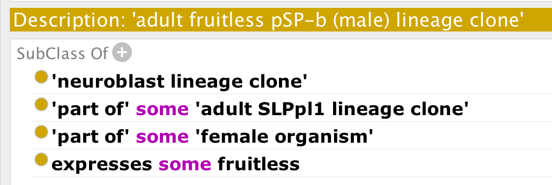This can't be right: clone that's both male and female · Issue #146 · FlyBase/drosophila-anatomy ...