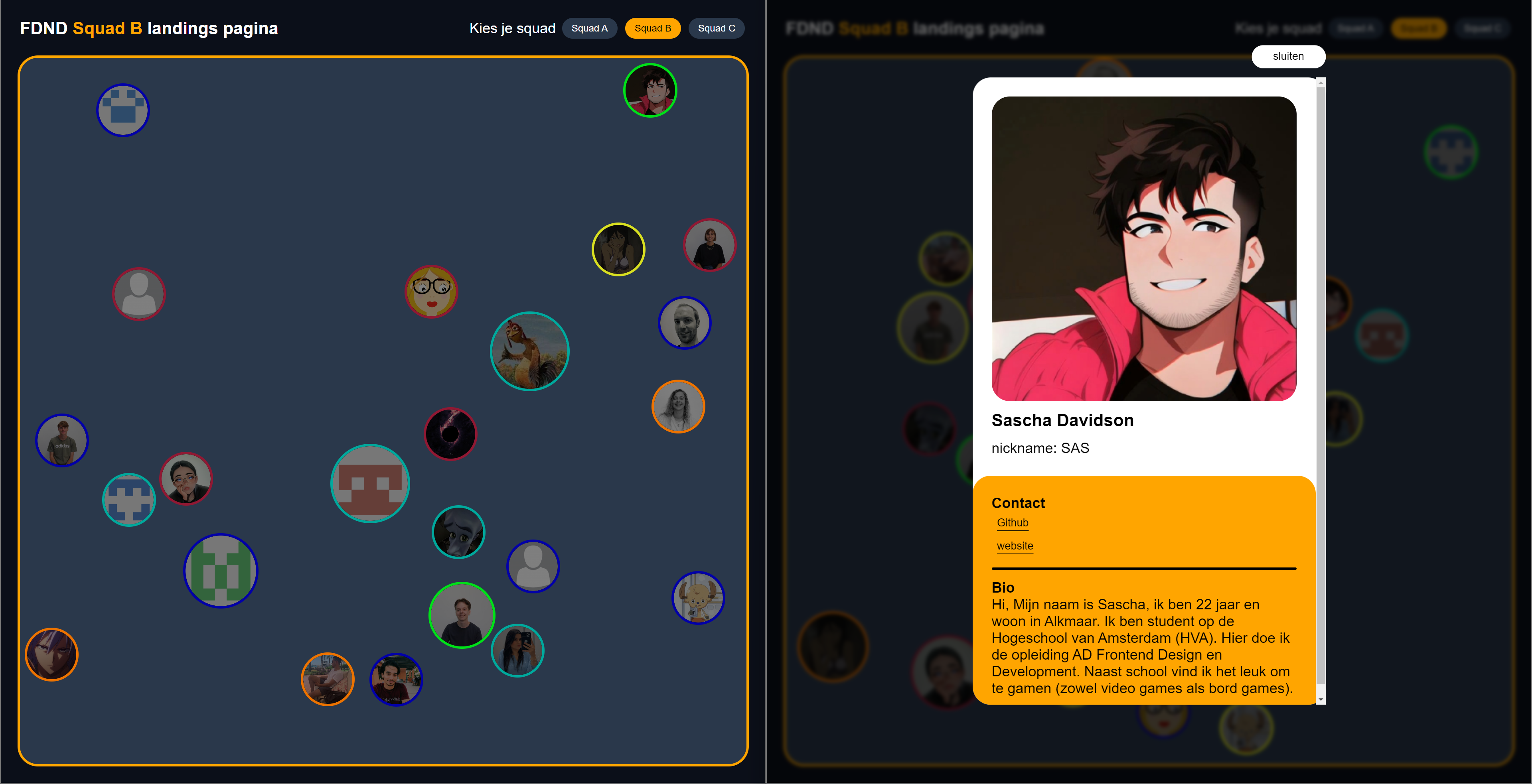 GitHub - Sascha-davidson/connect-your-tribe-squad-page: Redesign met je squad een squadpagina op ...