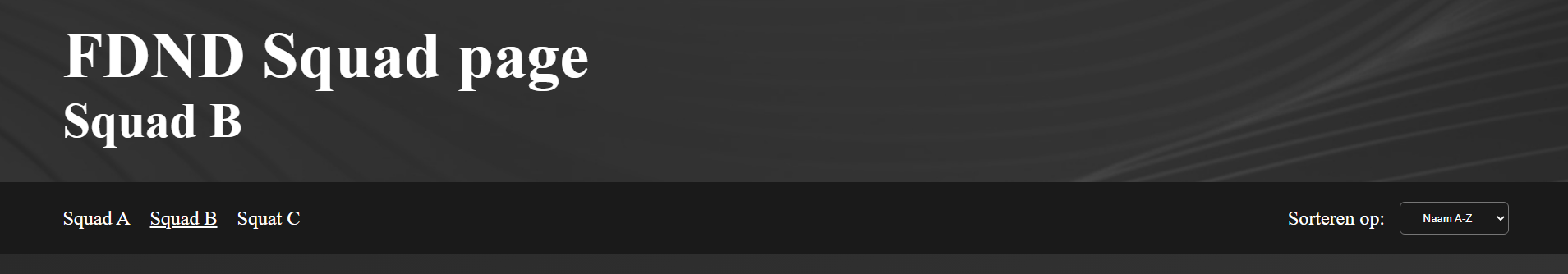 GitHub - tom-2810/connect-your-tribe-squad-page: Redesign met je squad een squadpagina op basis ...
