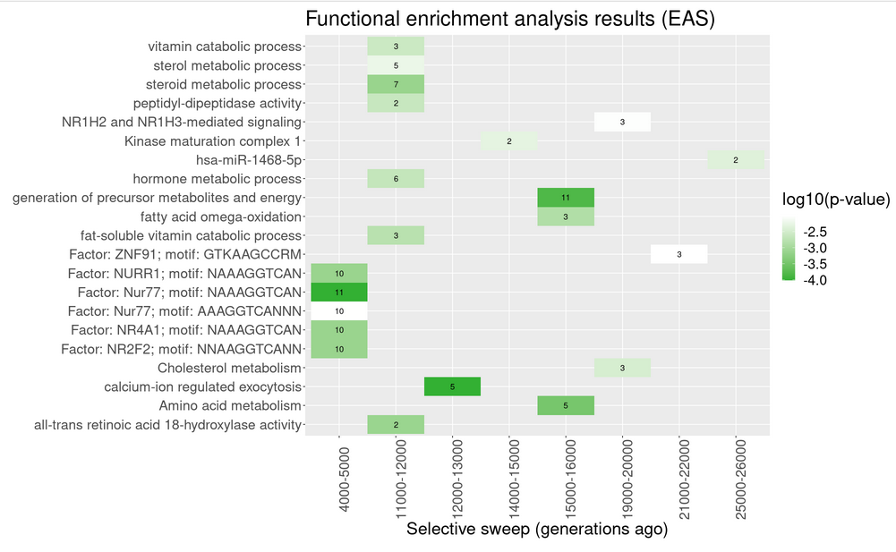 GitHub - arnaunoguera/SelectiveSweeps: Recopilació del codi de les pràctiques curriculars per ...