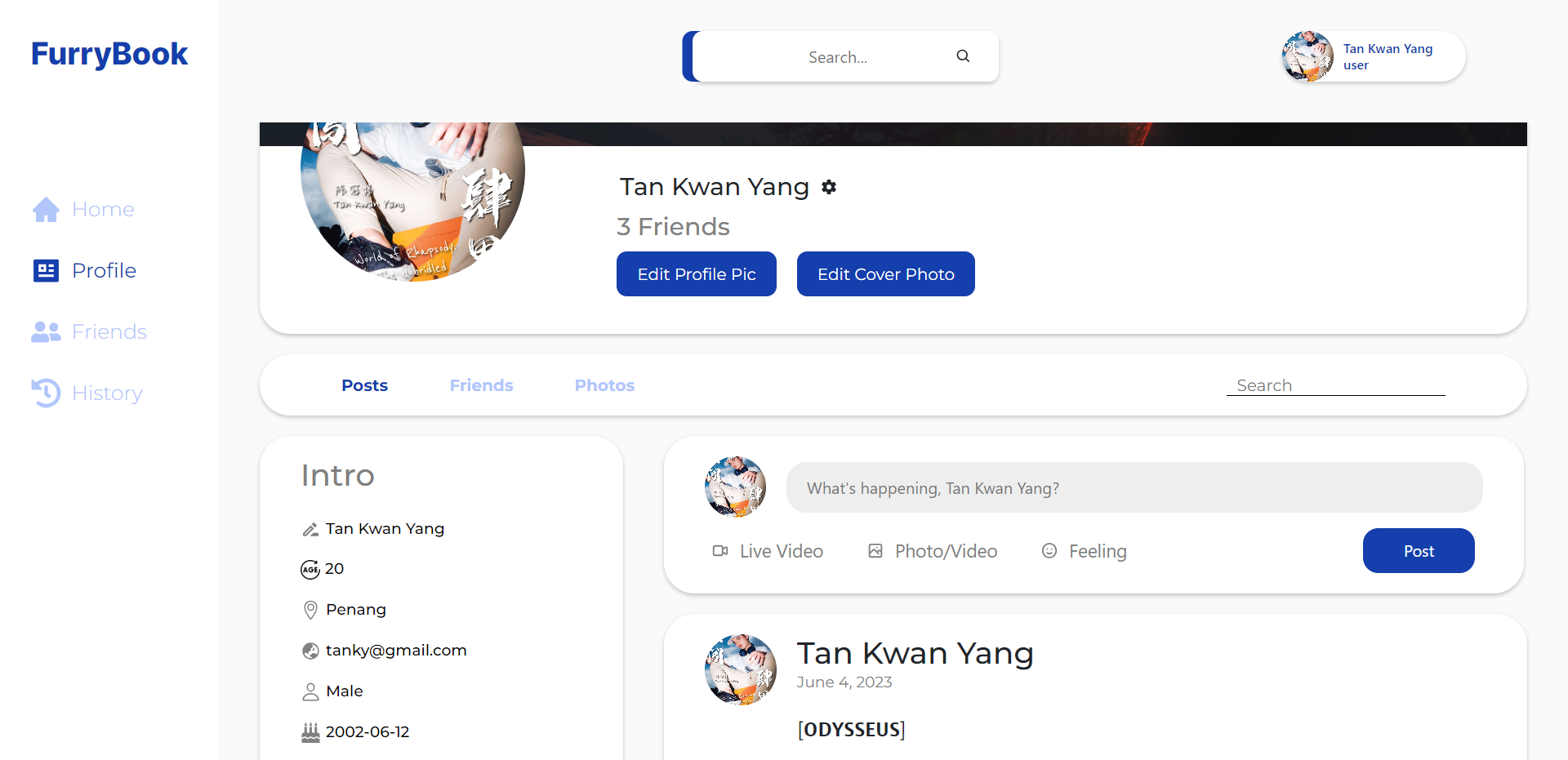 GitHub - teojiesern/FurryBook