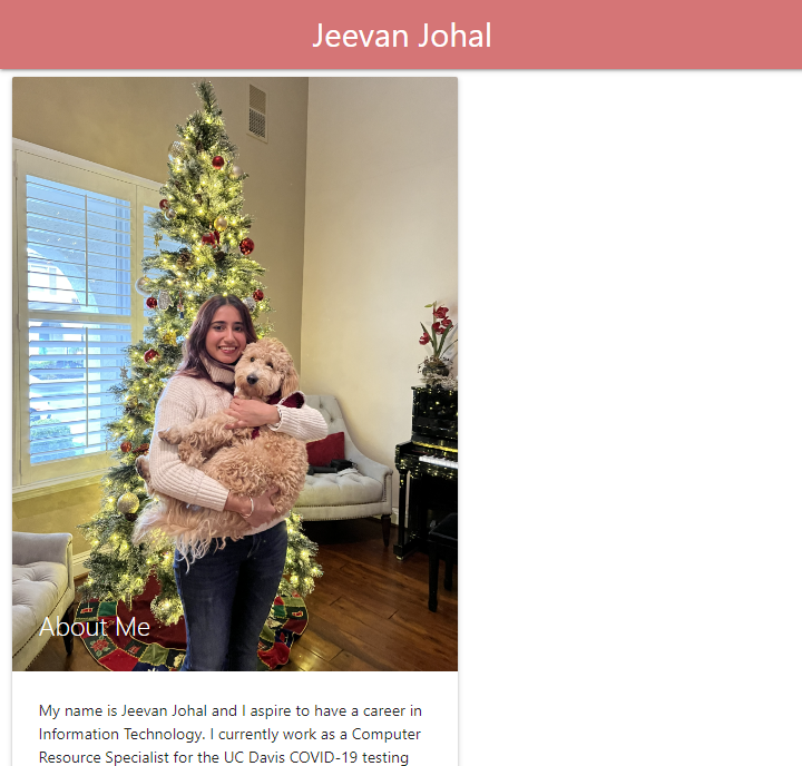 GitHub - jkjohal/Professional-Portfolio