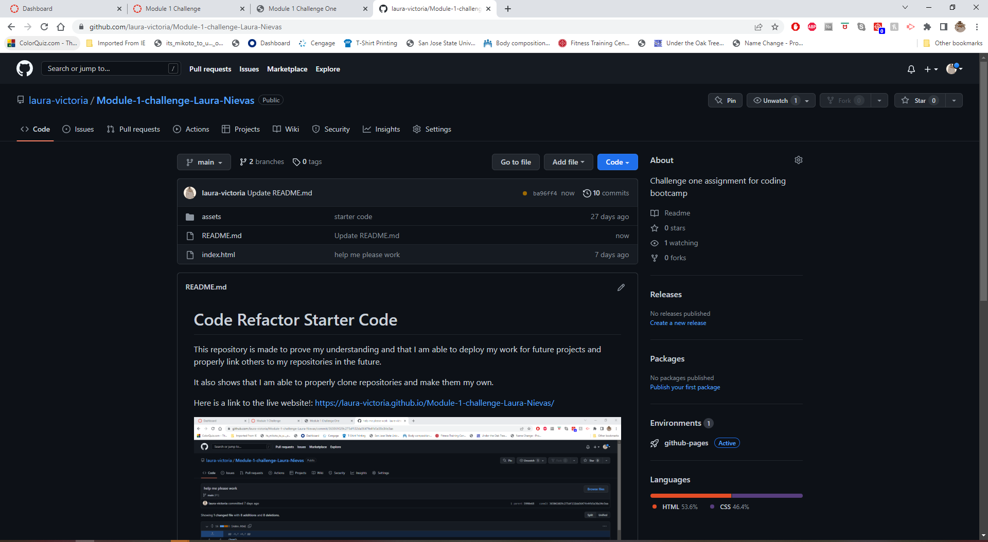 GitHub - laura-victoria/Module-1-challenge-Laura-Nievas: Challenge one assignment for coding ...