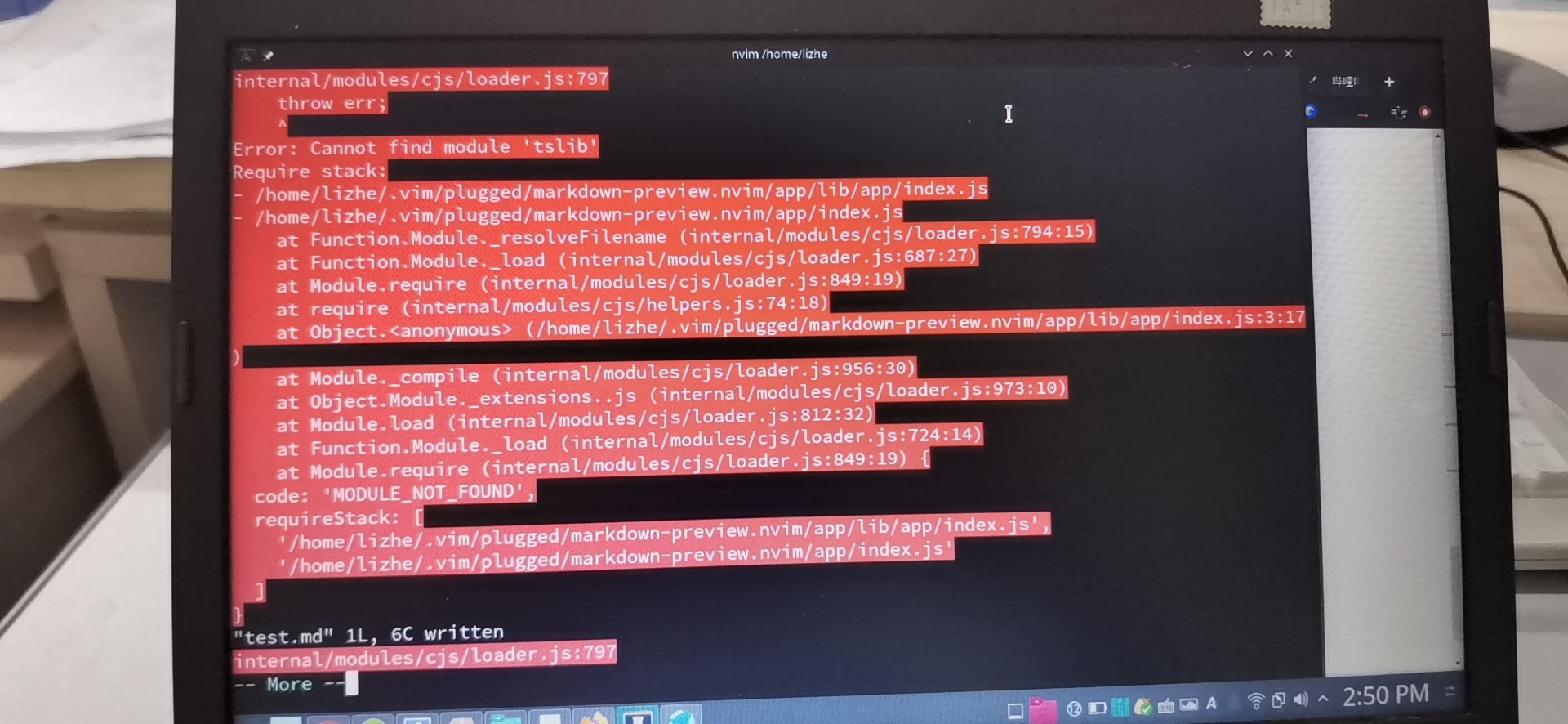 Chrome won't start ? · Issue #103 · iamcco/markdown-preview.nvim · GitHub