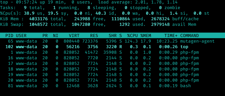 High agent CPU usage in Docker container via HyperKit · Issue #44 · mutagen-io/mutagen · GitHub