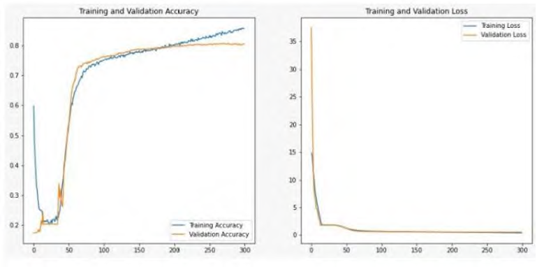 GitHub - syedfhass/Covid-19-and-Cardiac-Disease-Classification-using-ECG-Images: AI powered ...
