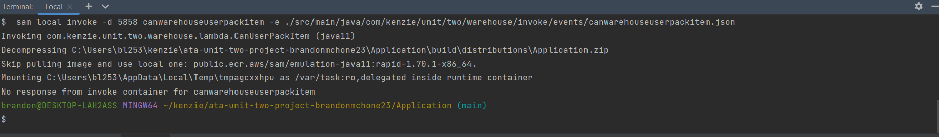 No Response From Invoke Container · Issue 4833 · Awsaws Sam Cli · Github