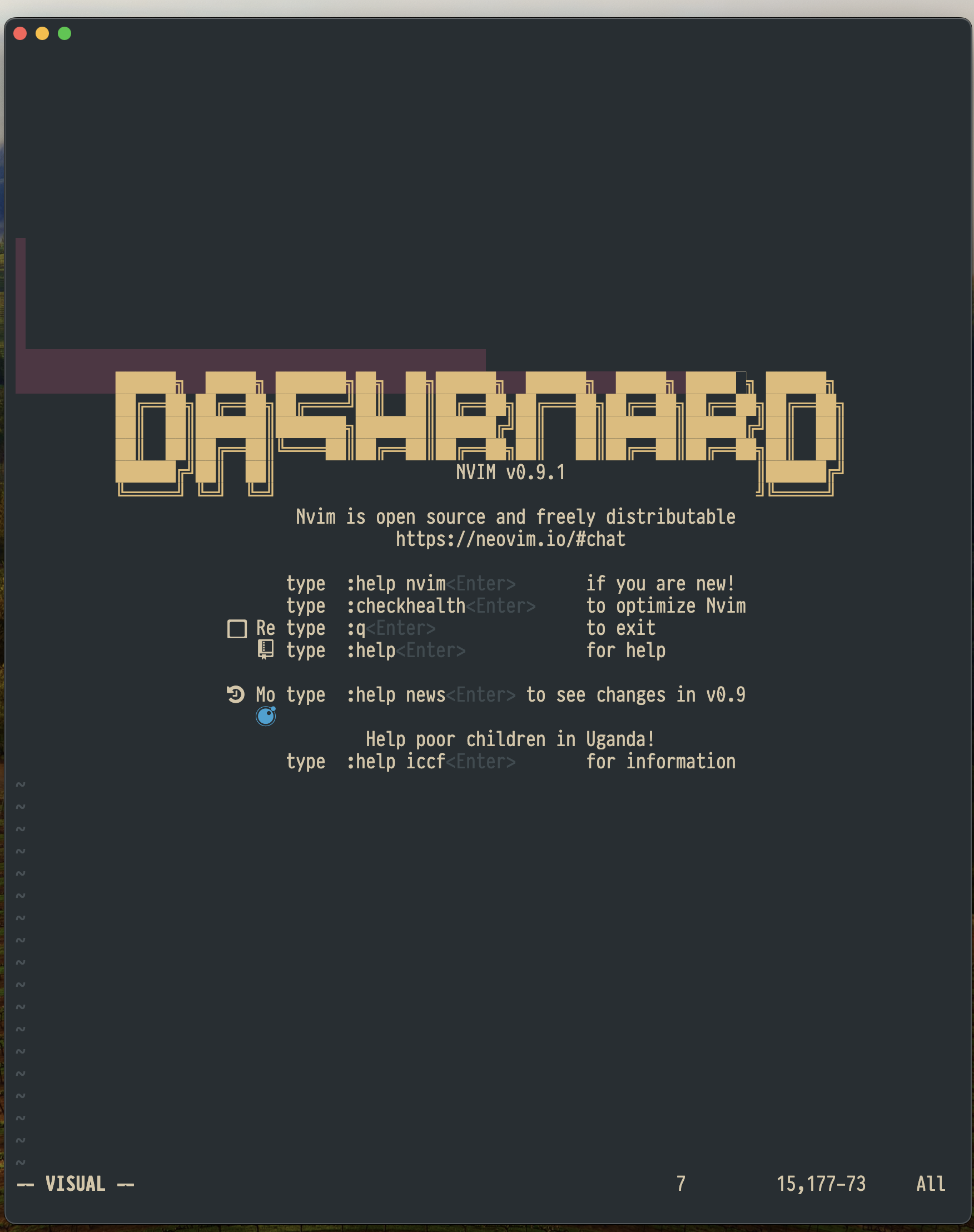 Intro message stuck on gui applications · Issue #24856 · neovim/neovim ... Intro message stuck on gui applications · Issue #24856 · neovim/neovim ...