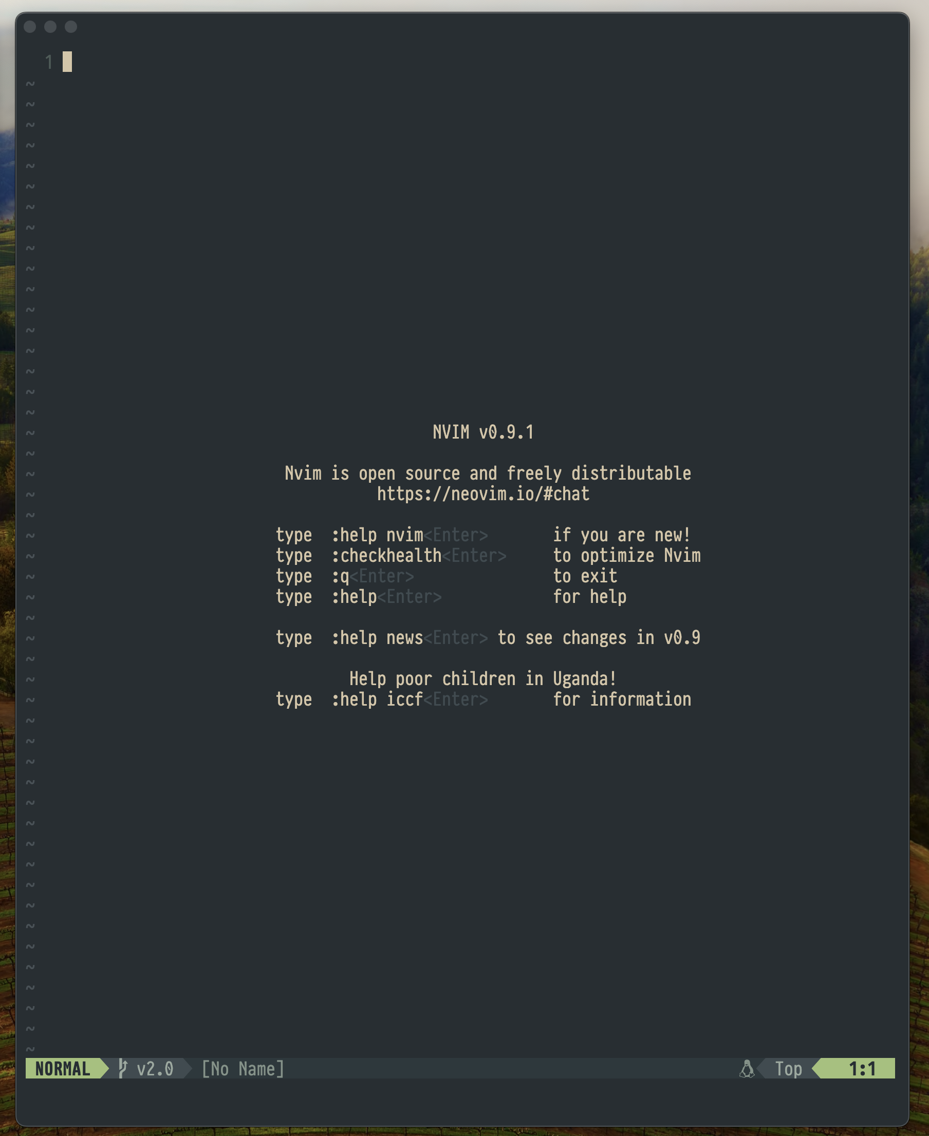 Intro Message Stuck On Gui Applications · Issue 24856 · Neovimneovim