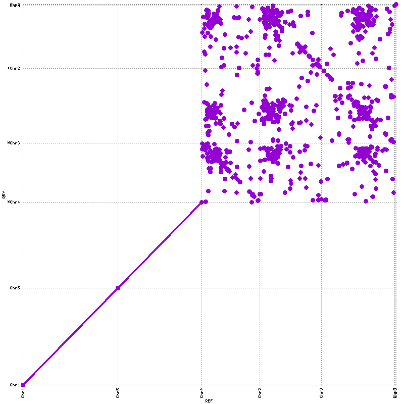 Self alignment not yielding diagonal graph · Issue #88 · mummer4/mummer · GitHub