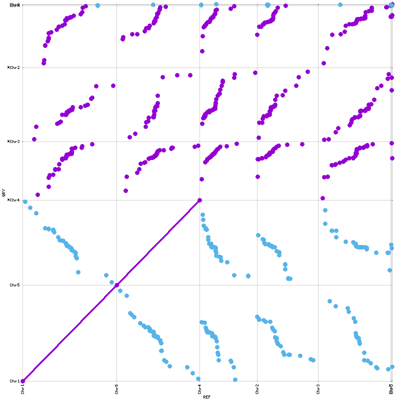 Self alignment not yielding diagonal graph · Issue #88 · mummer4/mummer · GitHub