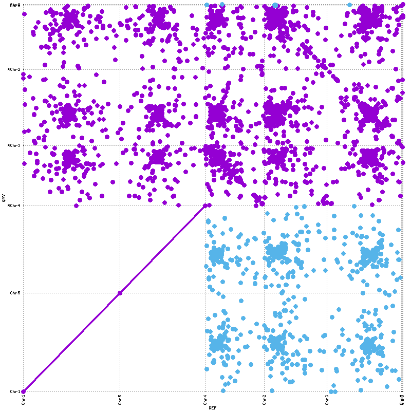 Self alignment not yielding diagonal graph · Issue #88 · mummer4/mummer · GitHub
