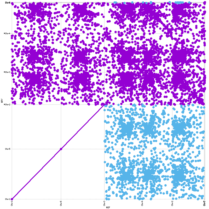 Self alignment not yielding diagonal graph · Issue #88 · mummer4/mummer · GitHub