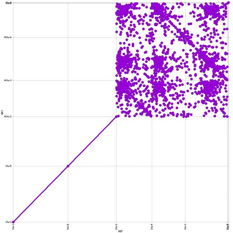 Self alignment not yielding diagonal graph · Issue #88 · mummer4/mummer · GitHub